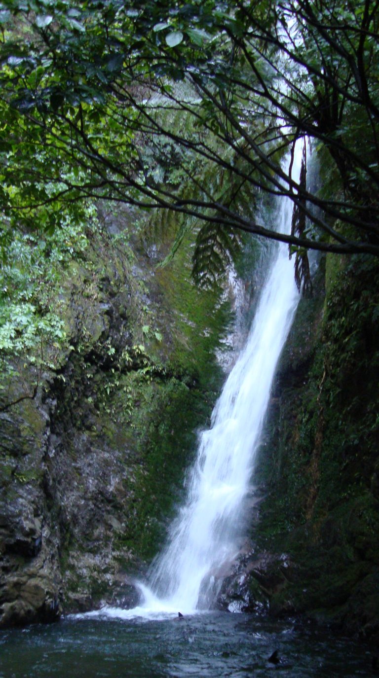 Get A Seal Pup Bonus At The Picturesque Ohau Waterfall