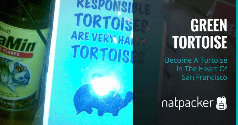 Green Tortoise Hostel - The Best Hostel In San Francisco