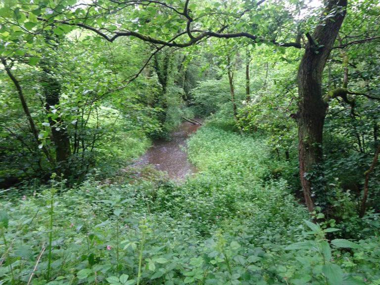 The Swettenham Arms: Flowers, Ghosts And Fine Food