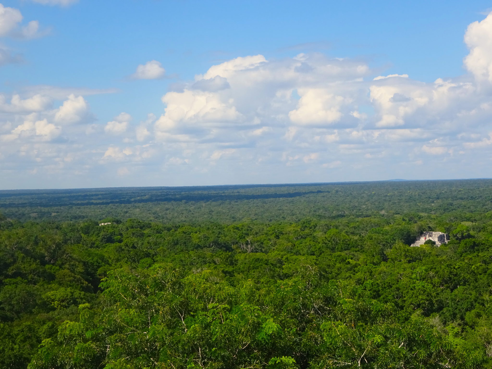 Calakmul - Awe-Inspiring Mayan Ruins Hidden In A Jungle
