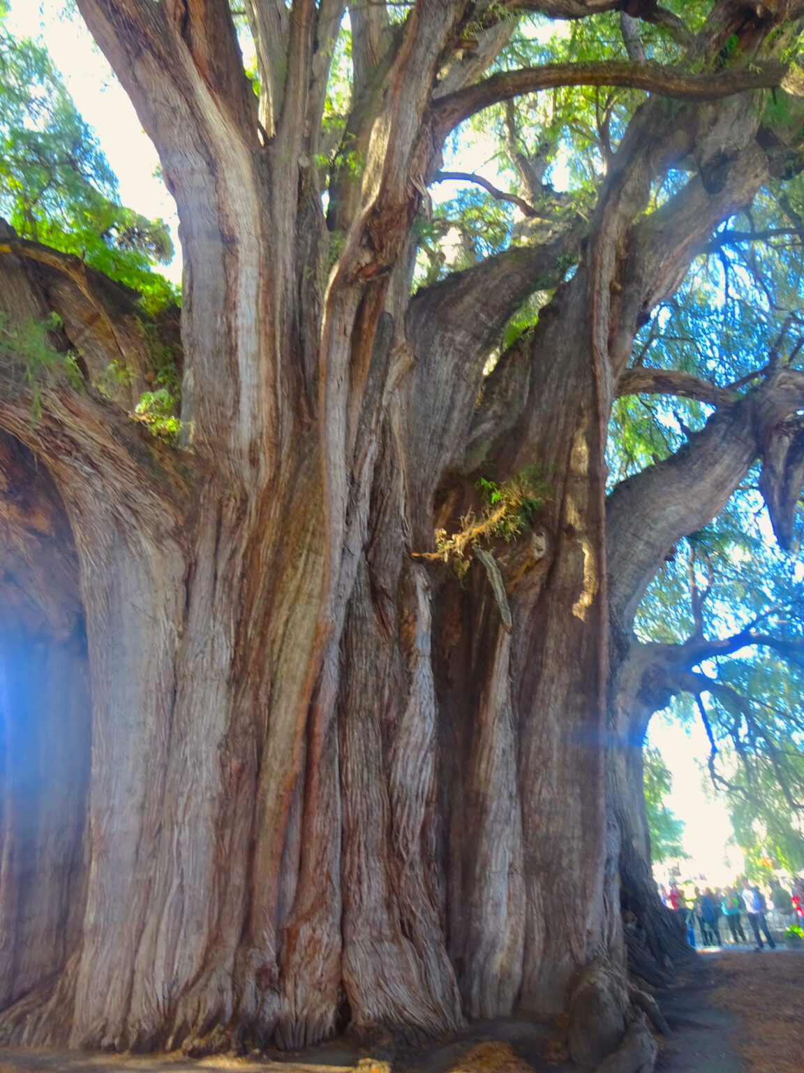 18 Natural Wonders In Mexico That You Don't Want To Miss