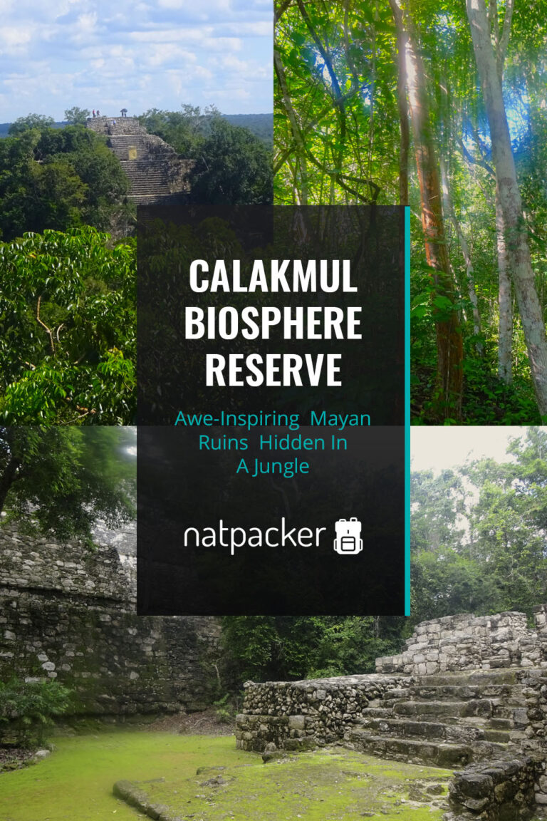 Calakmul - Awe-Inspiring Mayan Ruins Hidden In A Jungle